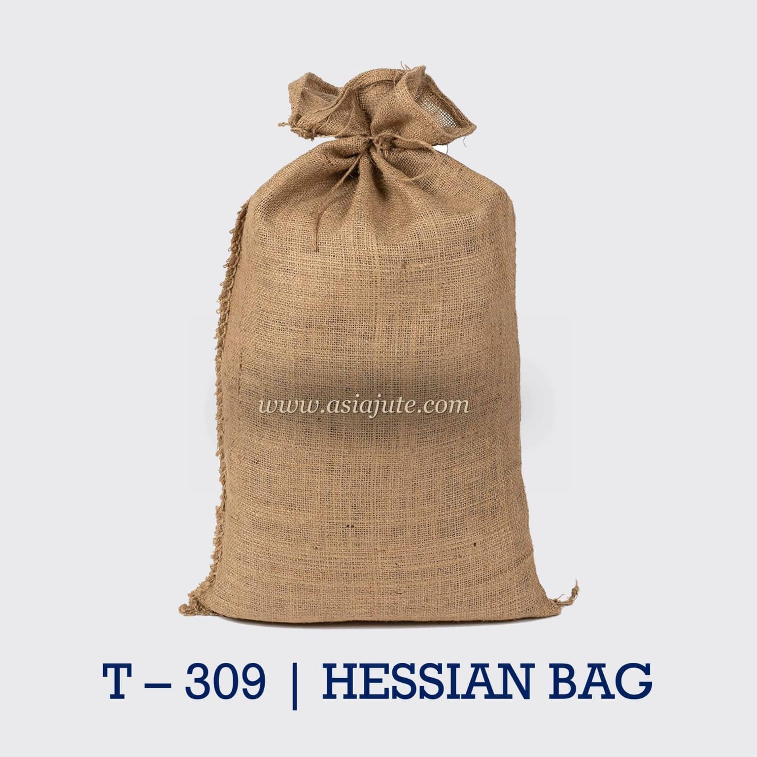 T – 309 | Hessian Sack - Asia Jute